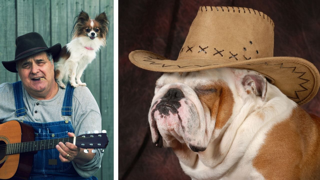 Down-Home Delights: Redneck Dog Names for Your Loyal Companion - Rocky ...