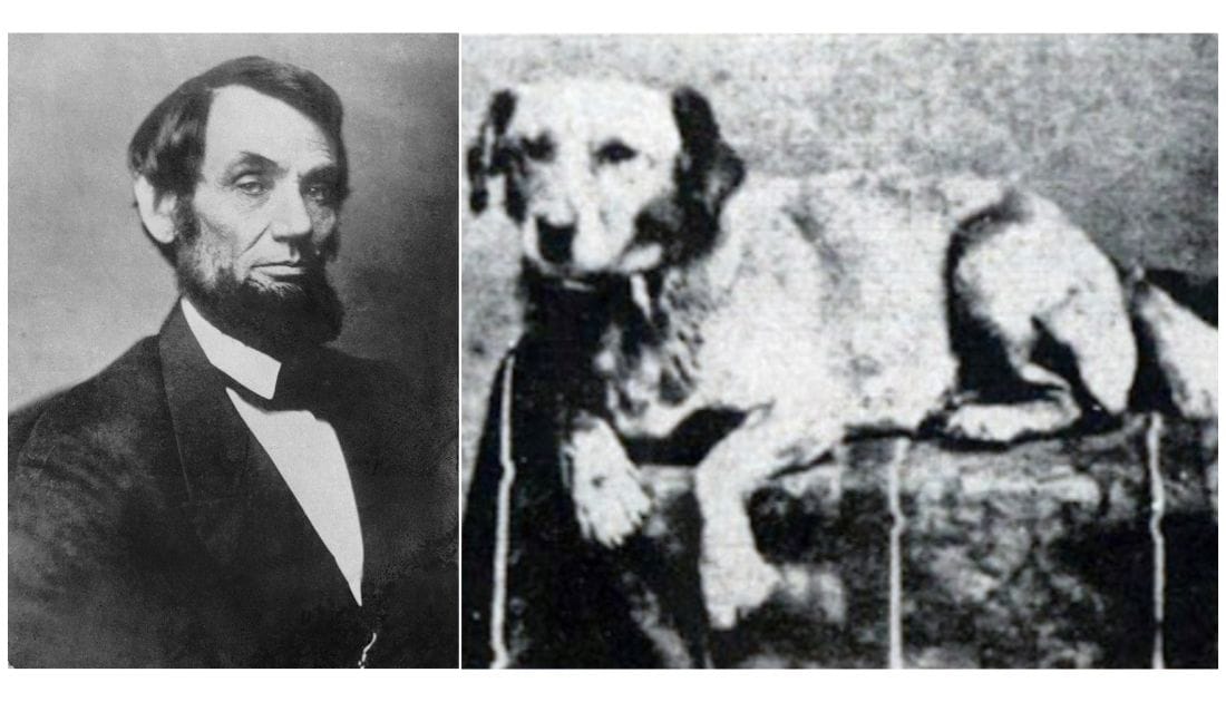 Did You Know That Abraham Lincoln's Dog Met the Same Fate as His Master ...