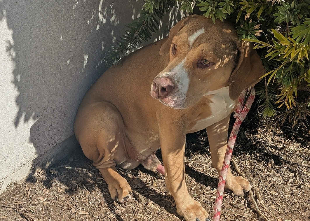 Jacob Is Learning the World Isn’t So Scary—All He Needs Now Is a Loving ...