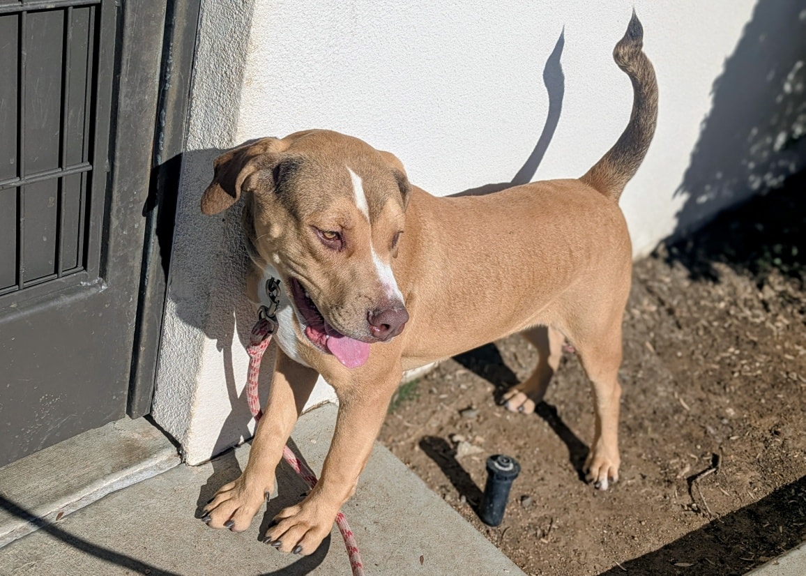 Jacob Is Learning the World Isn’t So Scary—All He Needs Now Is a Loving ...