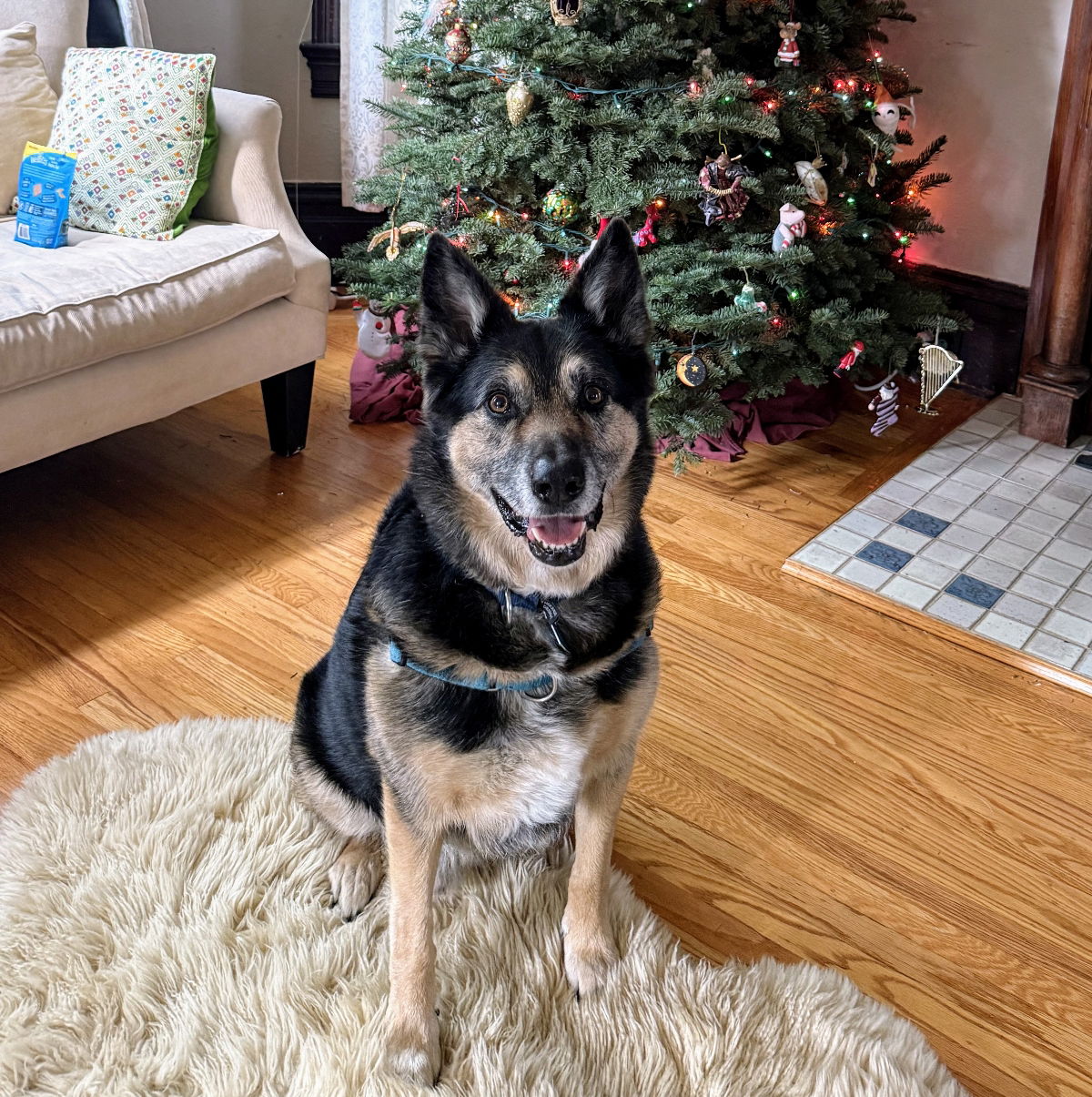 Meet Kris the Athletic Senior Sweetheart—Could You Be His Forever ...