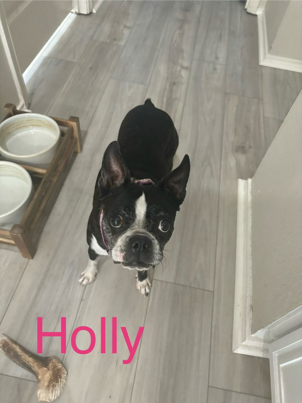 Double the Love: Meet Holly and Olivia, the 8-Year-Old Cuddle Queens ...