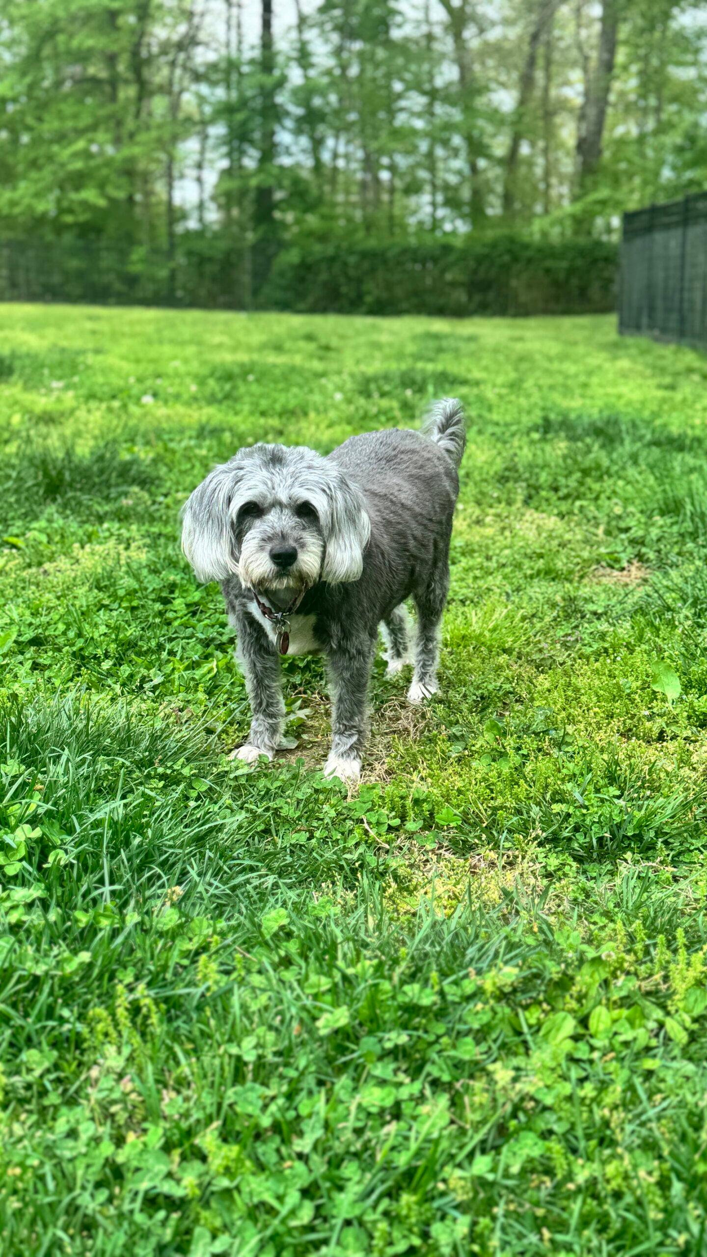Senior Sweetheart Darla Lost Her Person—Now This 8-Year-Old Is Ready ...