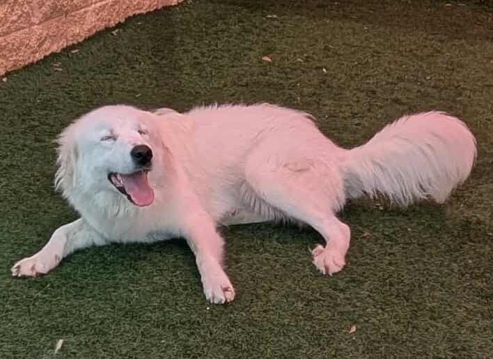 Say Hello to Helen – The Big, Beautiful Hug-Loving Queen Ready for Her ...