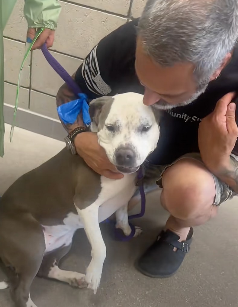 Shelter Dog Can’t Stop Hugging Her Rescuer on Adoption Day—It’s ...