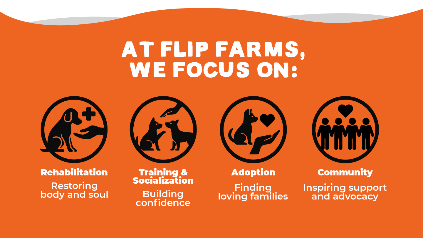 Flip Farms - Rocky Kanaka