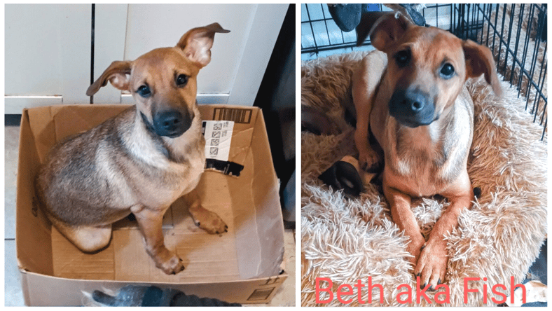 Beth aka baby fish - Rocky Kanaka