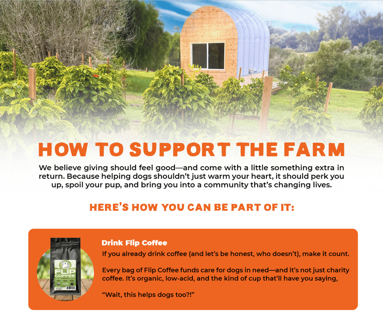 Flip Farms - Rocky Kanaka