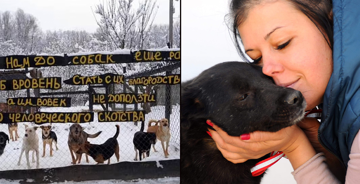 Ukrainian Refugee Turns Around, Goes Back To Save Dogs - Rocky Kanaka