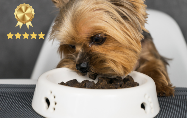 6 Healthy Dog Foods Even the Pickiest Yorkies Will Love - Rocky Kanaka