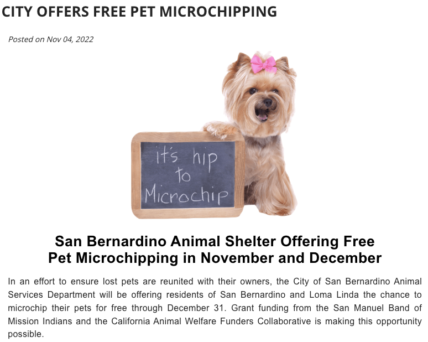 Where Can I Get My Dog Microchipped For Free? - Rocky Kanaka