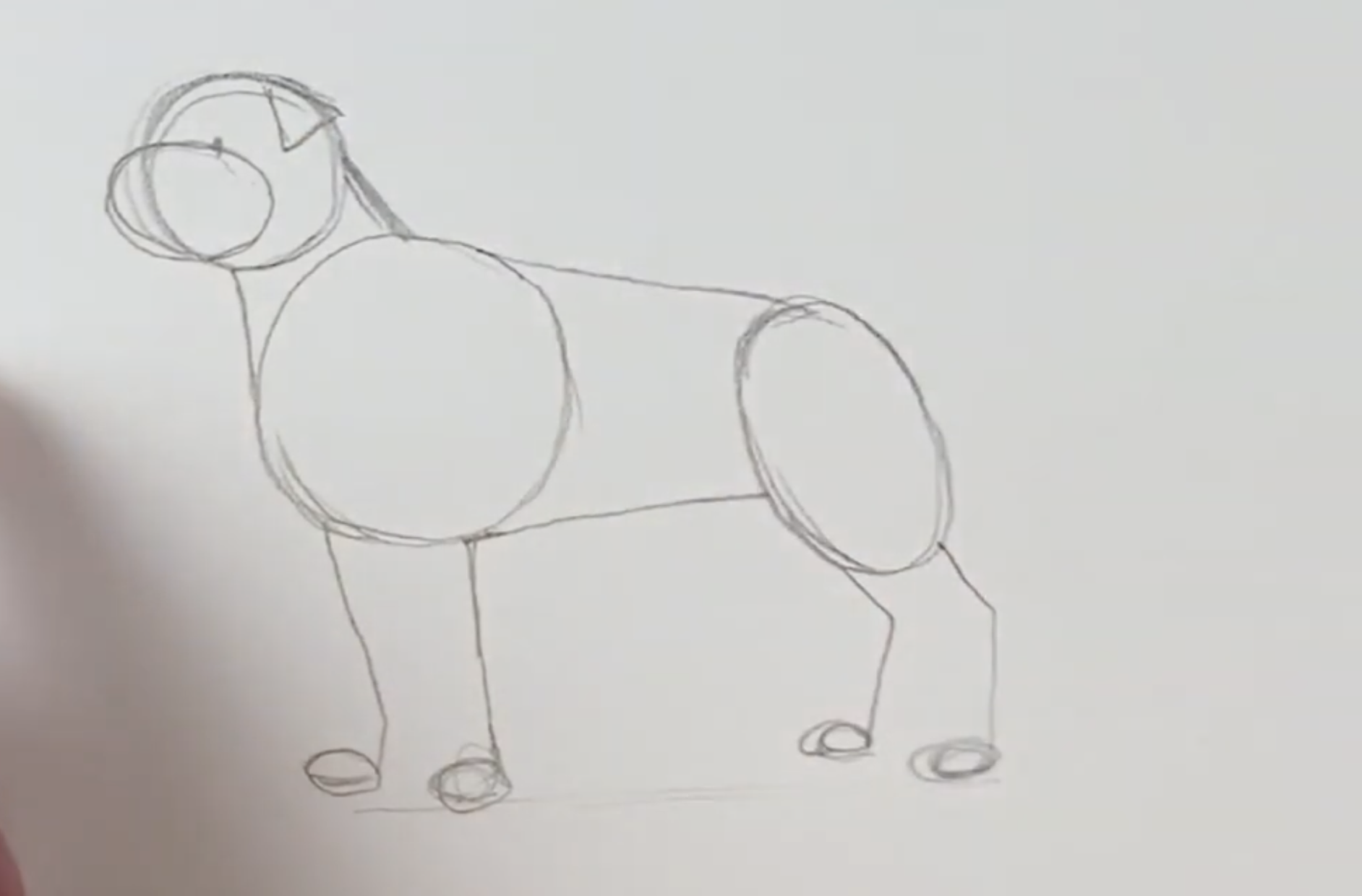 Drawing a Rottweiler: Step-by-Step Guide for Dog Lovers - Rocky Kanaka