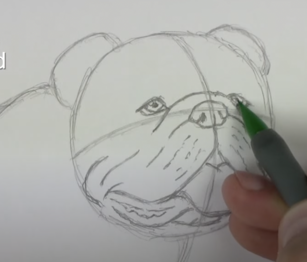 How To Draw A Bulldog - Rocky Kanaka