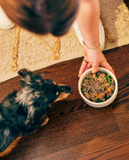 Expertly Curated: The Definitive Guide to the Best Dog Food for Every ...