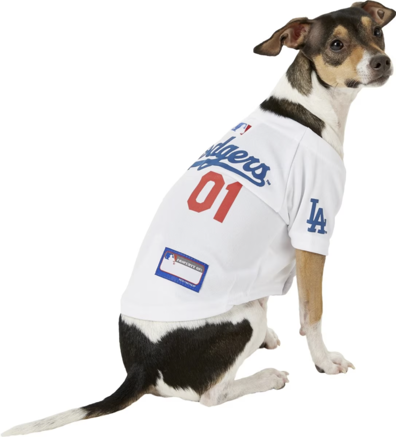Batter Up! 45 Home Run Baseball Dog Names for Your MVP Pup - Rocky Kanaka