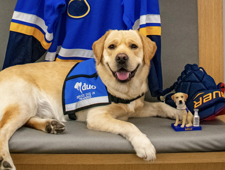 Power Play Pups: 101 Hockey Dog Names for Your Ice-loving Companion ...