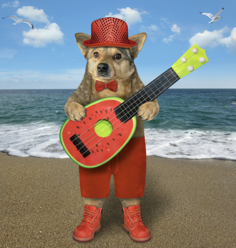 Unleashing a Collection of Musical Dog Names - Rocky Kanaka