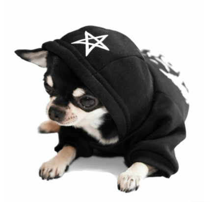 60 Gothic Names for Dogs: Unleashing Dark Elegance and Mystique - Rocky ...