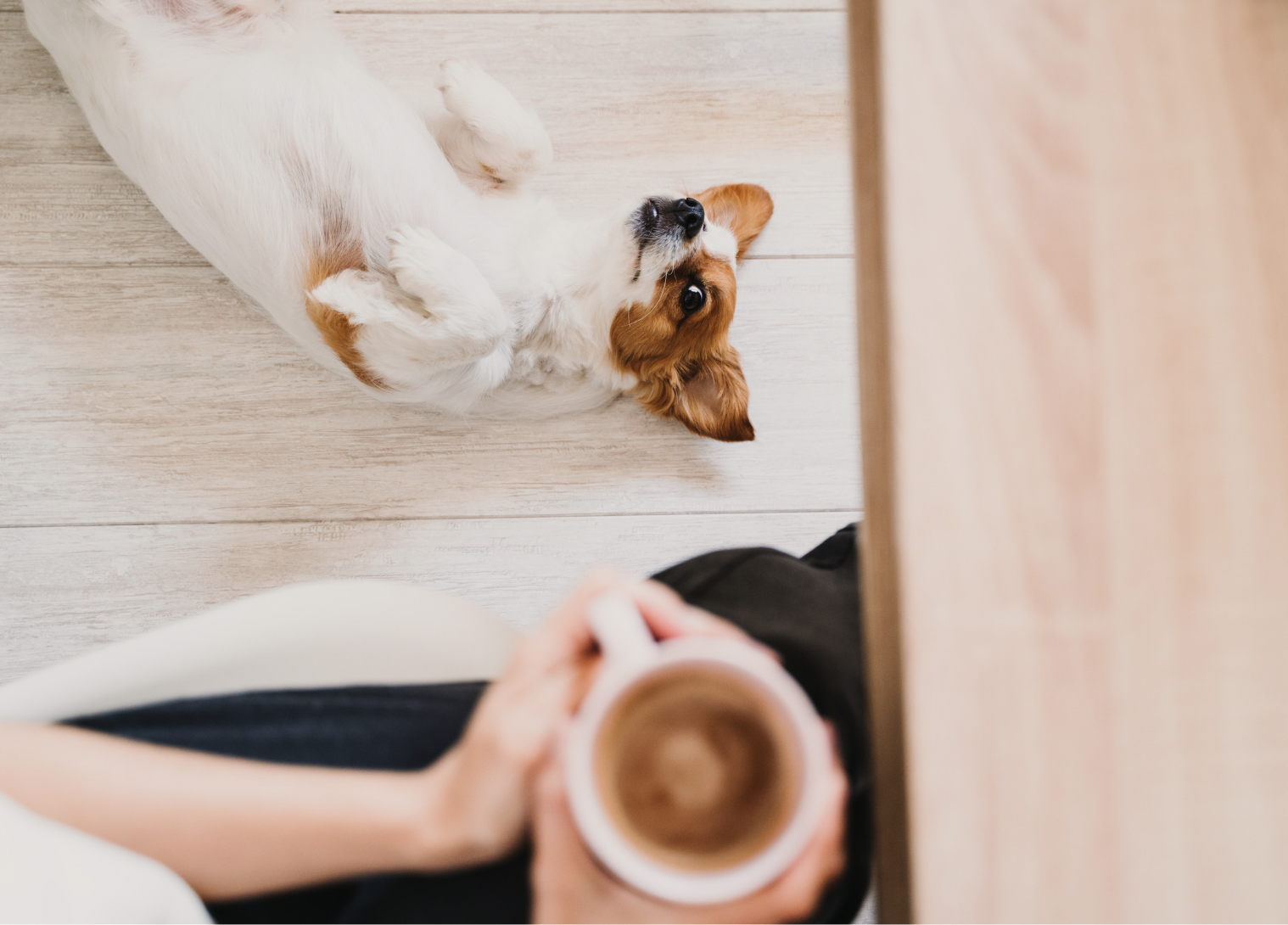 Brewing Up Pawsome Personalities: 75 Coffee Names for Dogs - Rocky Kanaka