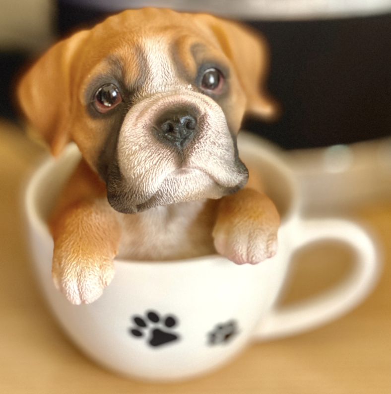 Brewing Up Pawsome Personalities: 75 Coffee Names for Dogs - Rocky Kanaka