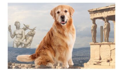 120 Mythological Dog Names: Unleashing Timeless Wonder and Character ...