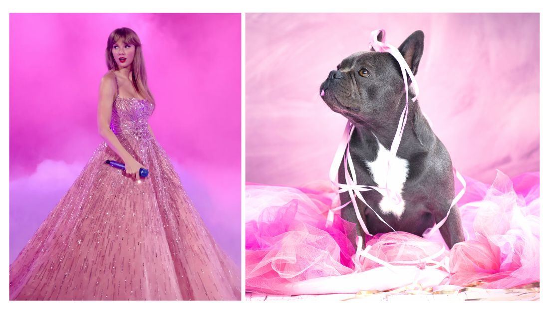Taylor Swift Inspired Dog Names: From Country Cuties to Pop Pups ...