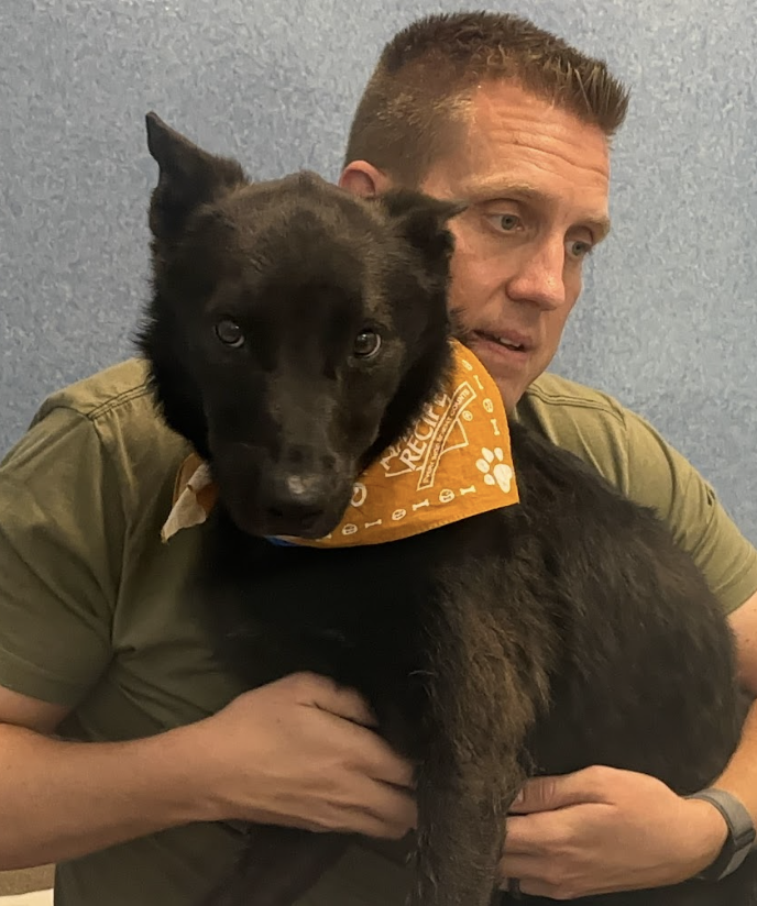 Ramses - Rocky Kanaka