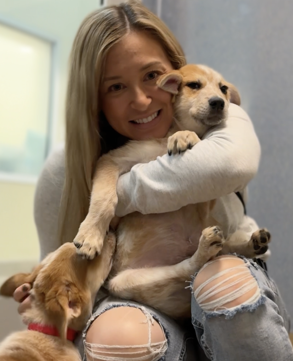 Yoshi & Bingo - Rocky Kanaka