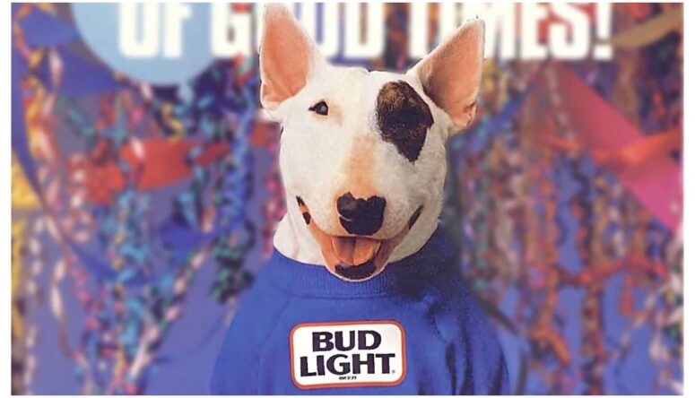 What Happened to Spuds MacKenzie? Learn About this Bull Terrier’s ...