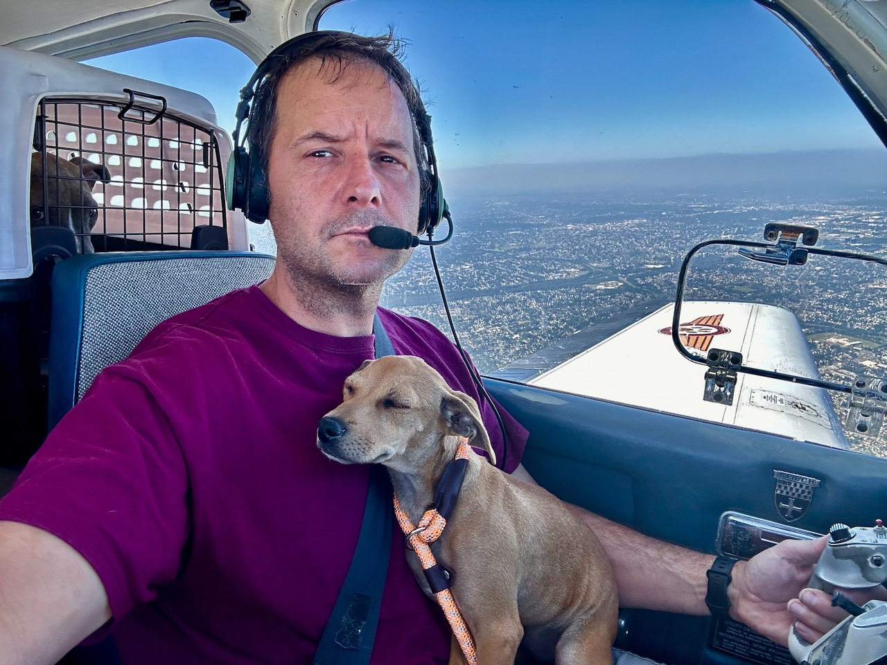 These Heroes Are Saving Dogs From High-Kill Shelters, One Trip at a ...