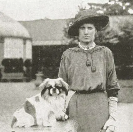 Meet The 12 Dogs On Titanic and the 3 That Miraculously Survived ...