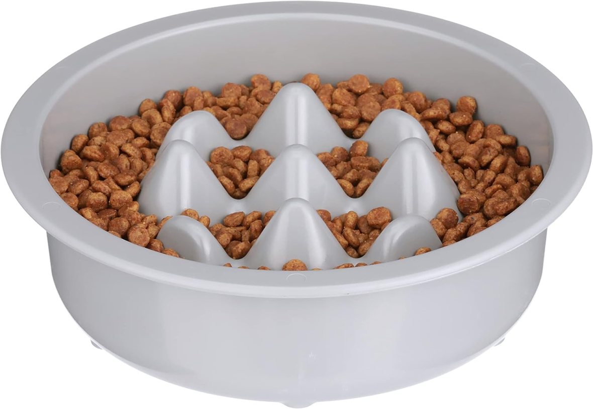 8 Best Slow Feeders For Dogs Who Gobble Their Grub - Rocky Kanaka