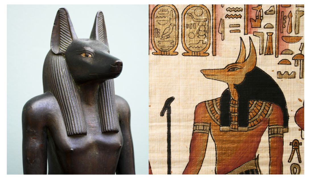 Divine Canine: Why This Mystical Dog Was Worshiped as a God. - Rocky Kanaka