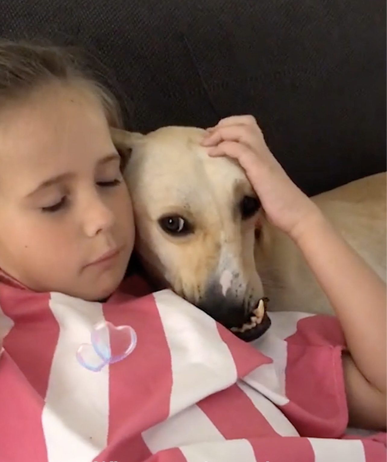 How a Puppy with a Wonky Nose Became an Internet Sensation & a Symbol ...