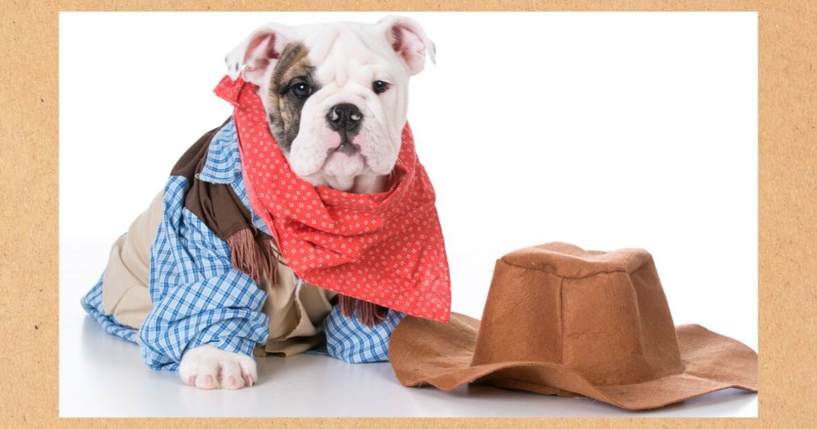 Country Dog Names: Capturing the Spirit of the South in Your Canine ...