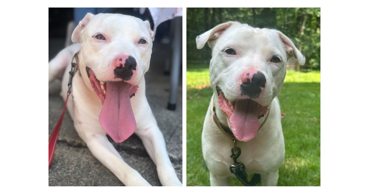 Saint - Rocky Kanaka