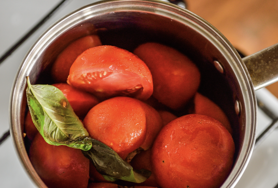 Can Dogs Eat Tomatoes? Separating Fact from Fiction - Rocky Kanaka