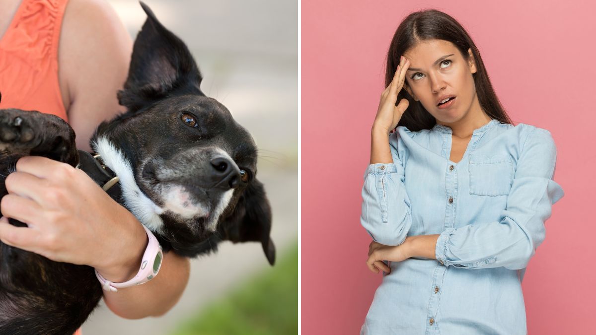Fur Babies or Fur Burdens? 12 Dog Owner Quirks That Have Us Growling ...