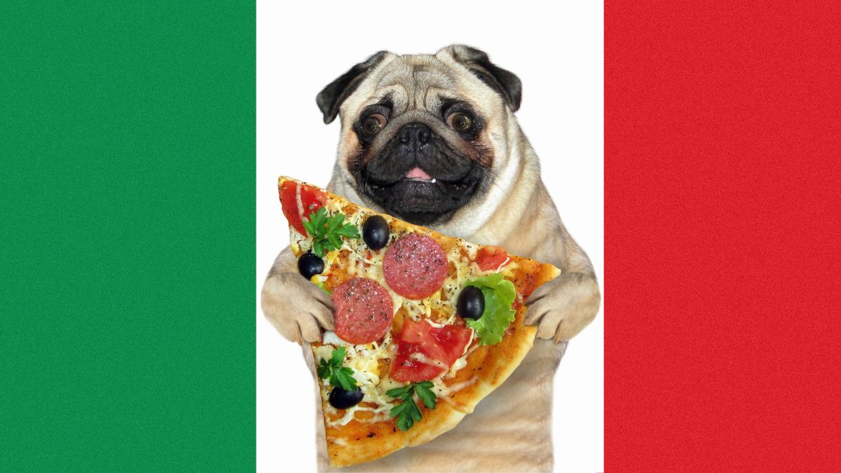250 Bellissimo Italian Dog Names - Rocky Kanaka
