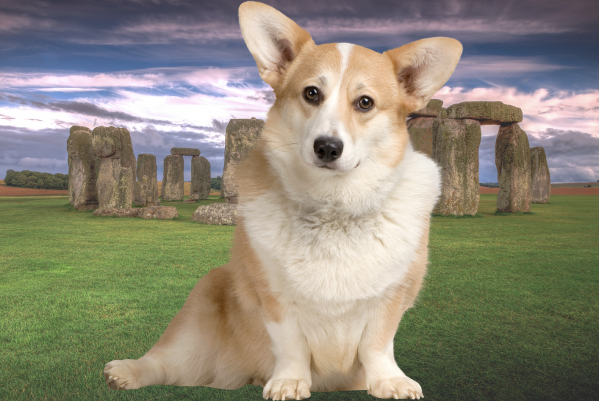 150 Corgi Names So Perfect, Even the Queen Would've Approved! - Rocky ...