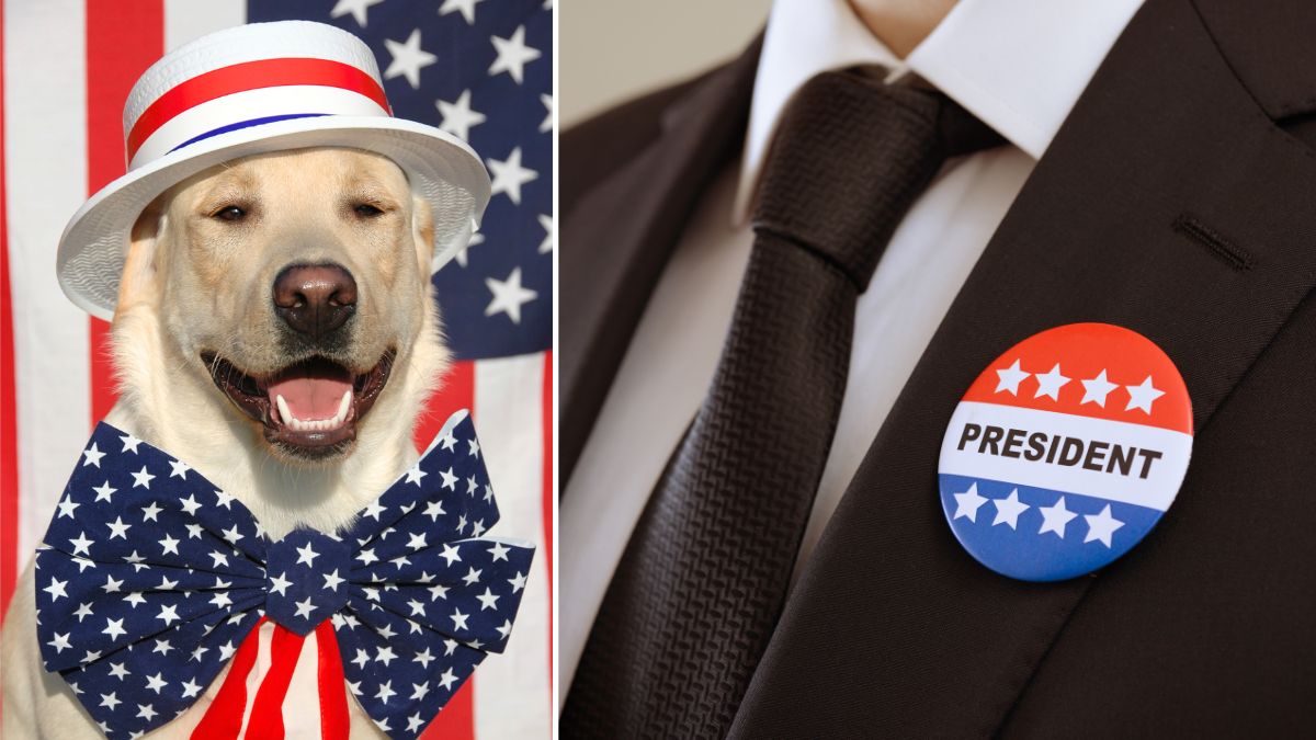 91% of US Presidents Had Dogs —But These Four Didn’t! See the Full List ...
