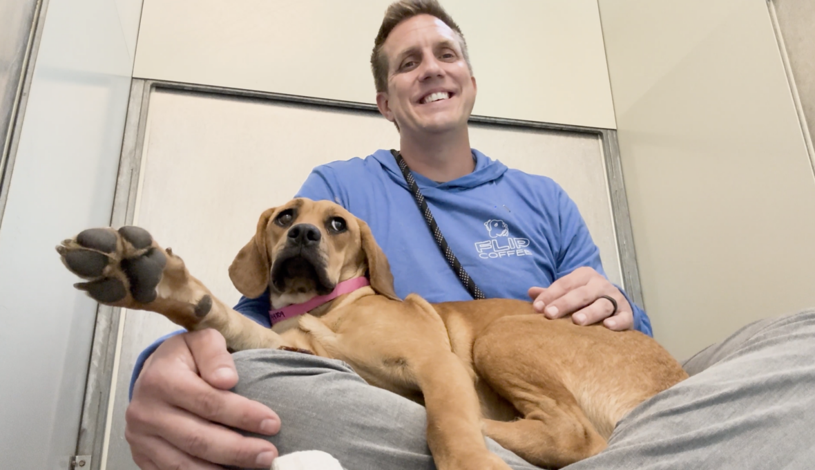 Furever Friend Finder - Where Shelter Dogs and Loving People Meet ...