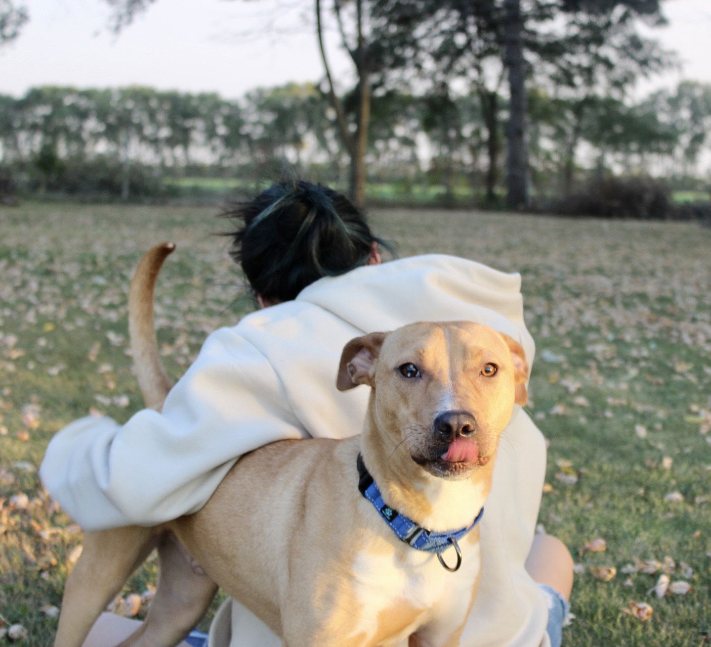 Boomer Jr., Survivor of a North Carolina Hurricane, Now Ready for a New ...