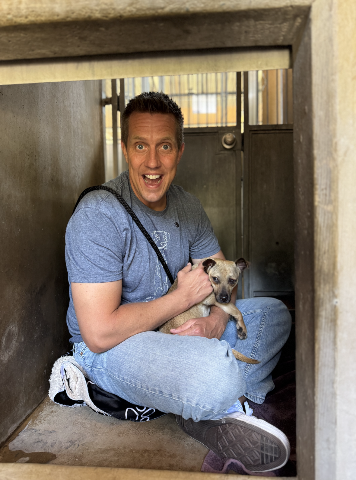 Archer (& Matteo) For Adoption - Rocky Kanaka