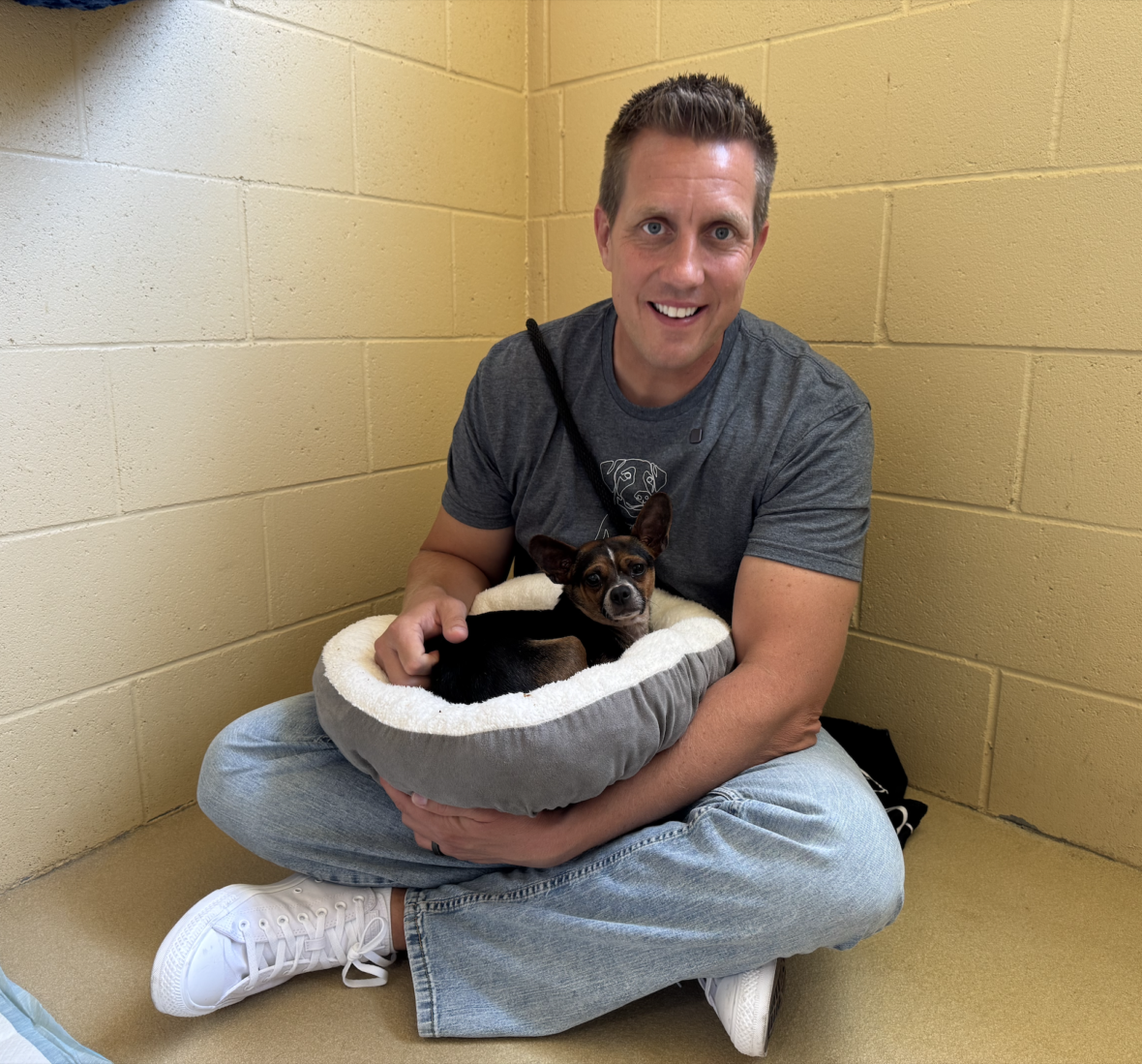 Archer (& Matteo) For Adoption - Rocky Kanaka