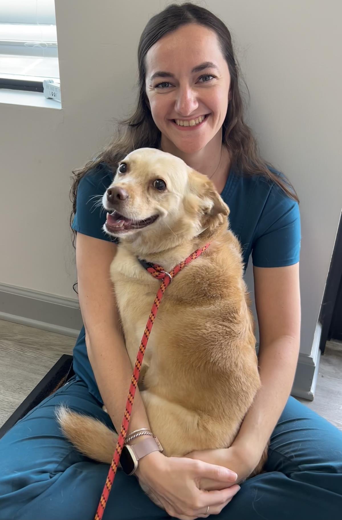 Sweet Cocker Spaniel Mix Marley Needs a New Leash on Life - Rocky Kanaka