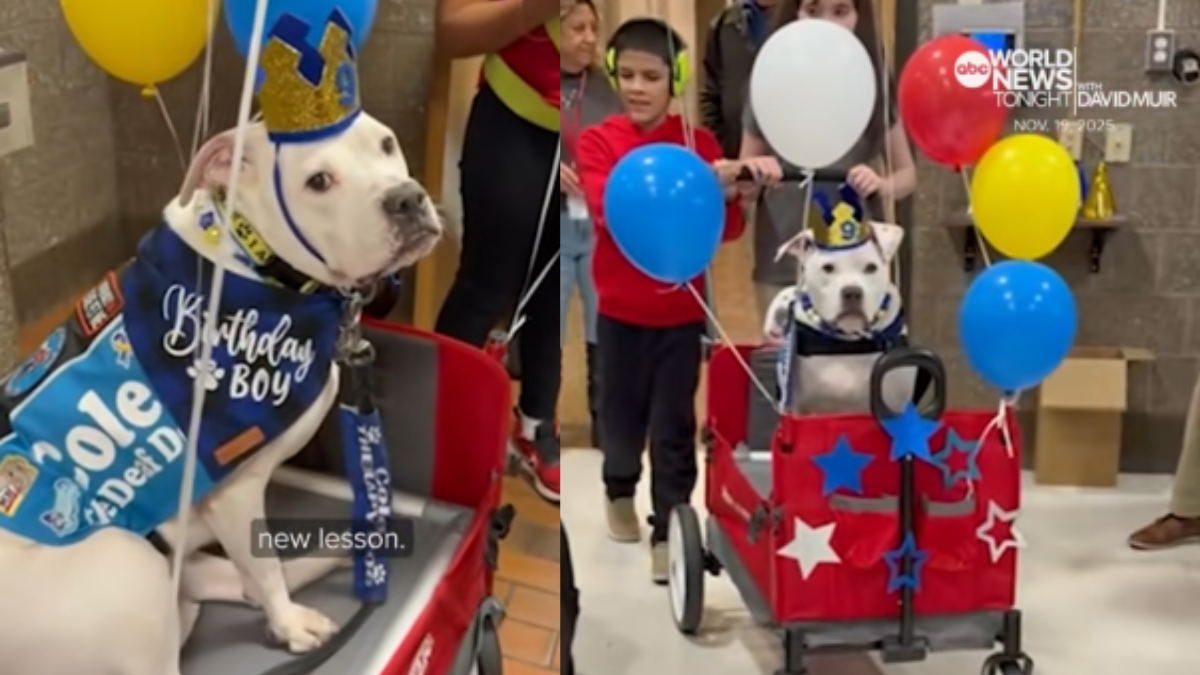 Happy Tears as School Kids Throw the Sweetest Birthday Surprise for ...